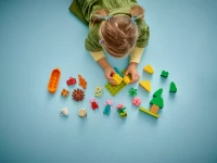 LEGO DUPLO Wyprawa na biwak 10452 - LEGO