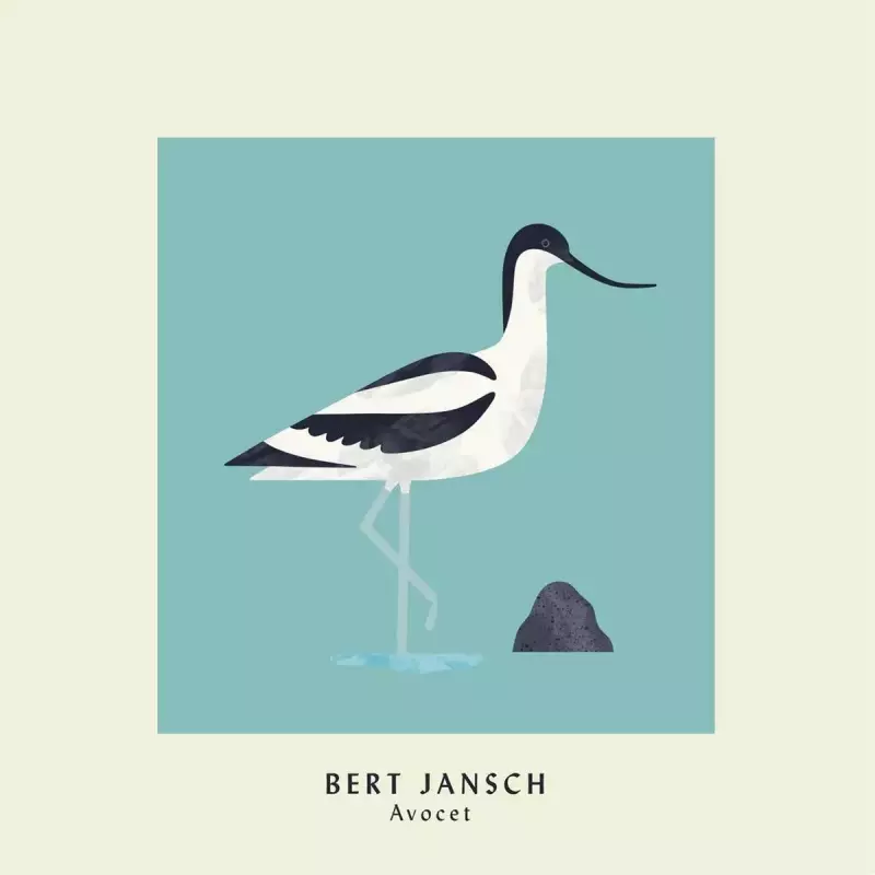 Avocet LP BLACK, Winyl - Bert Jansch