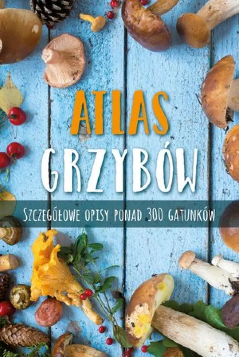 Atlas grzybów - Markus Fluck