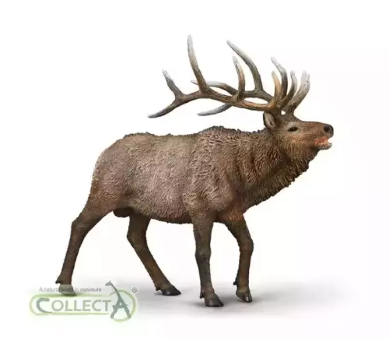 Collecta Jeleń Kanadyjski - Collecta