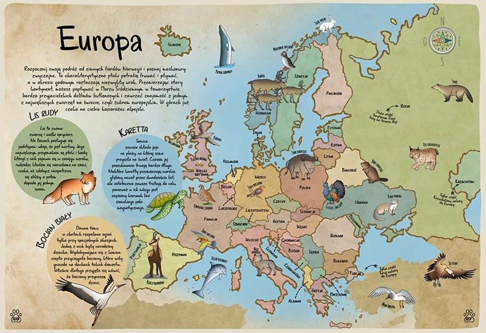 Atlas zwierząt - Anna Gogolin