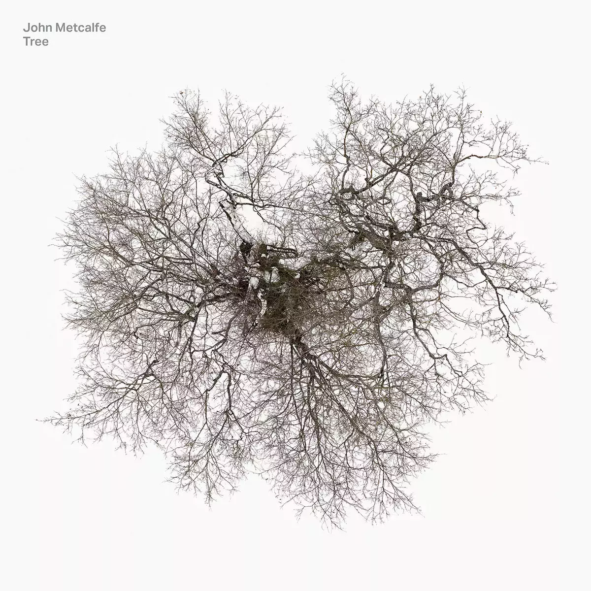 Tree, CD - METCALFE, JOHN