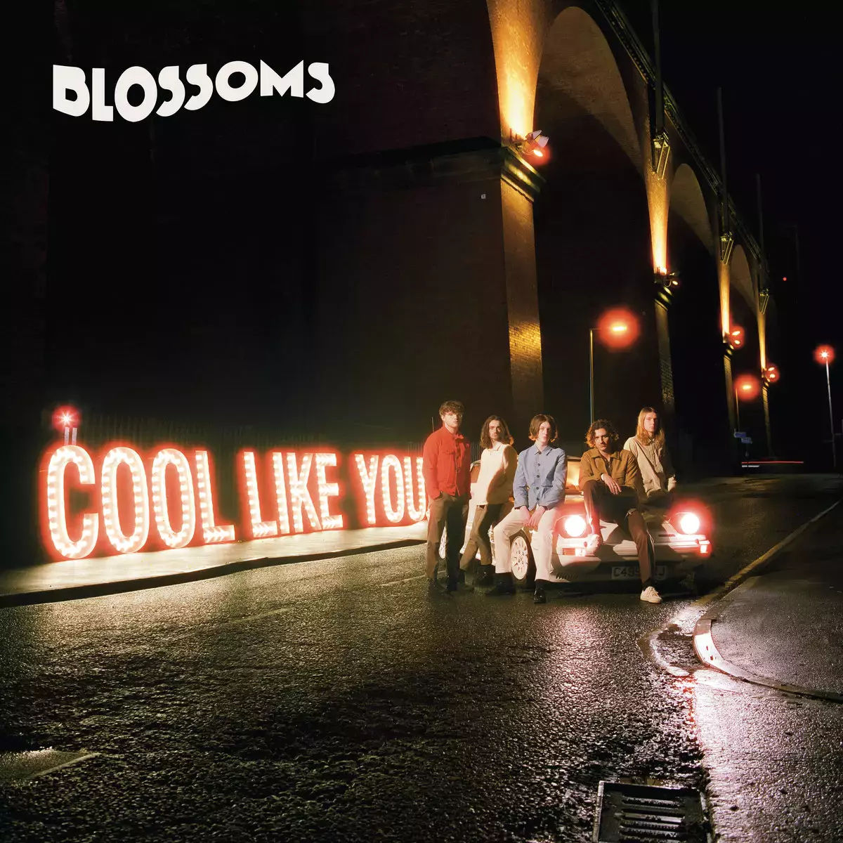 Cool Like You. CD - Blossoms