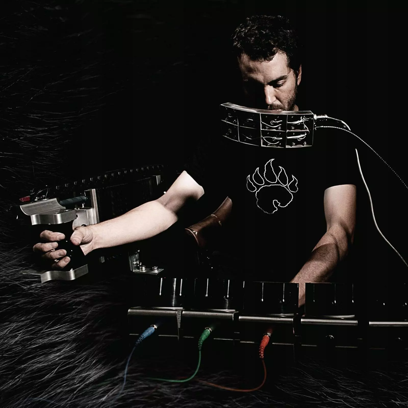 Ursus Americanus, CD - AUTHOR & PUNISHER