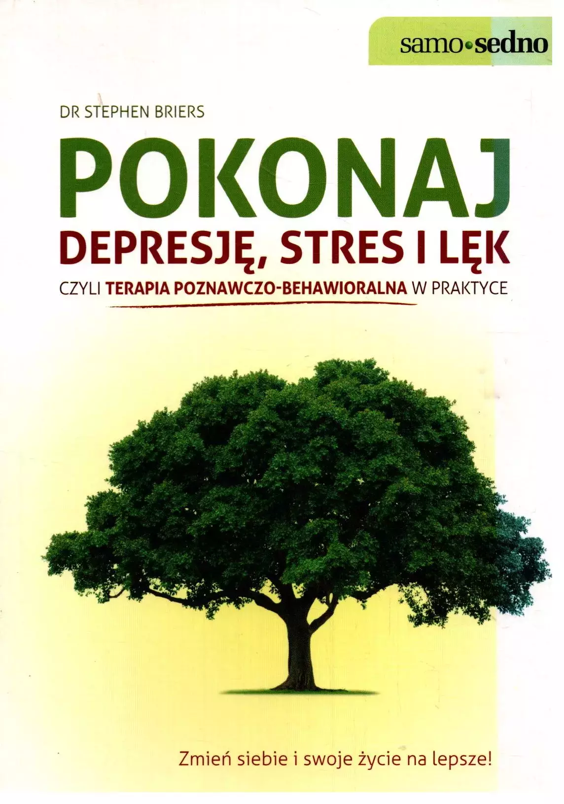 Pokonaj depresję, stres i lęk - Stephen Briers