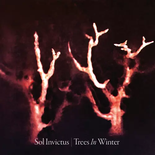 Trees In Winter Reissue. CD - Sol Invictus