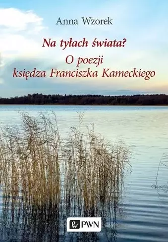 Na tyłach świata. O poezji księdza Franciszka Kameckiego