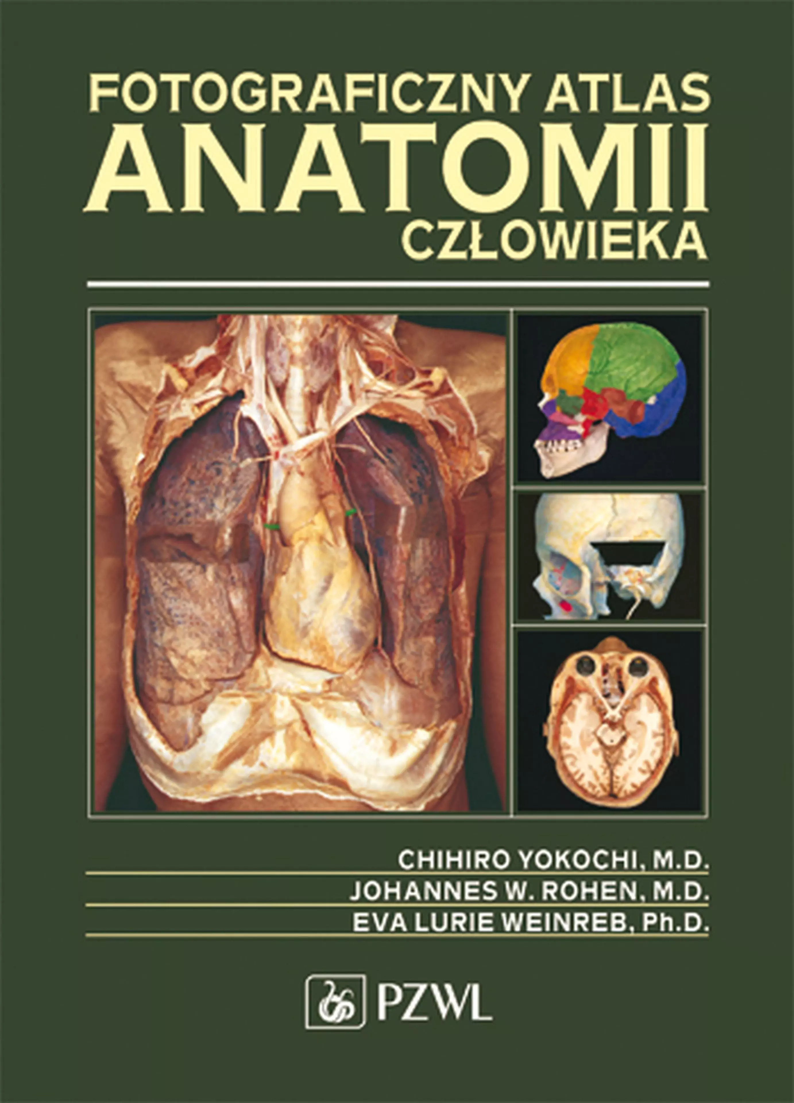 Netter Atlas anatomii człowieka - Netter F.H.